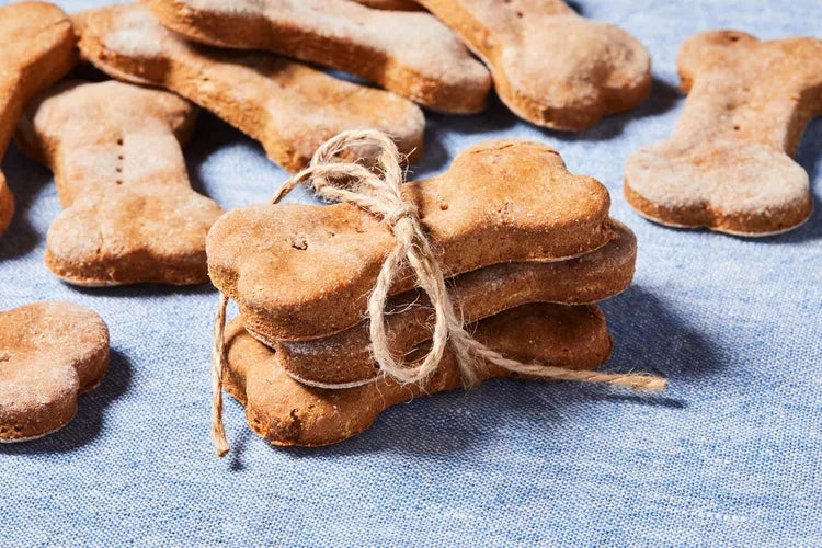 4 Yummy Homemade Dog Treat Ideas – Outshine Co.