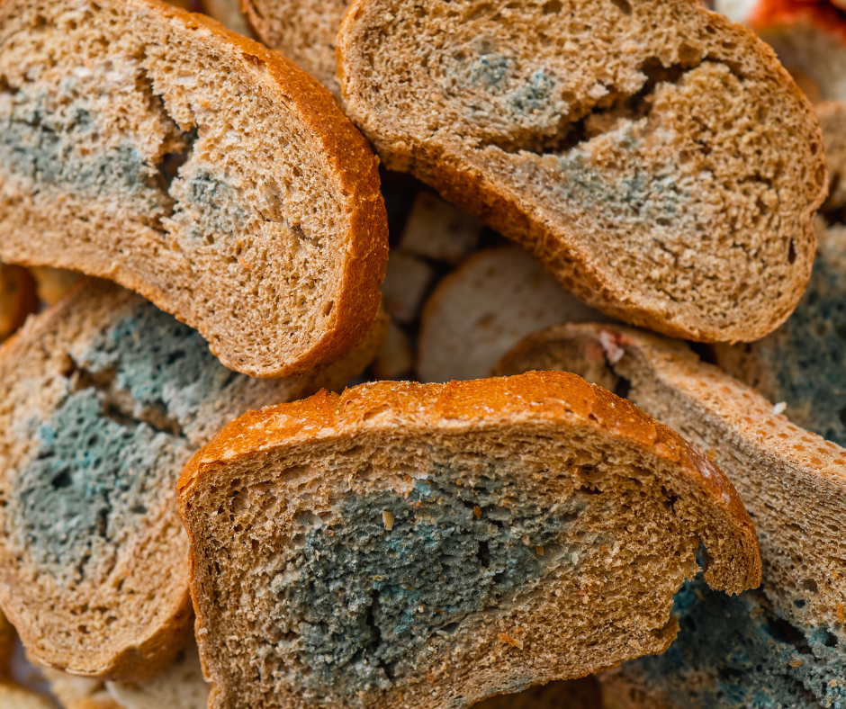 8 Tips to Keep Your Bread Away From Having MOLD | OUTSHINE – Outshine Co.